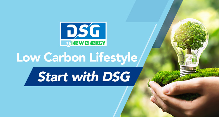 Main Page - DSG Energy